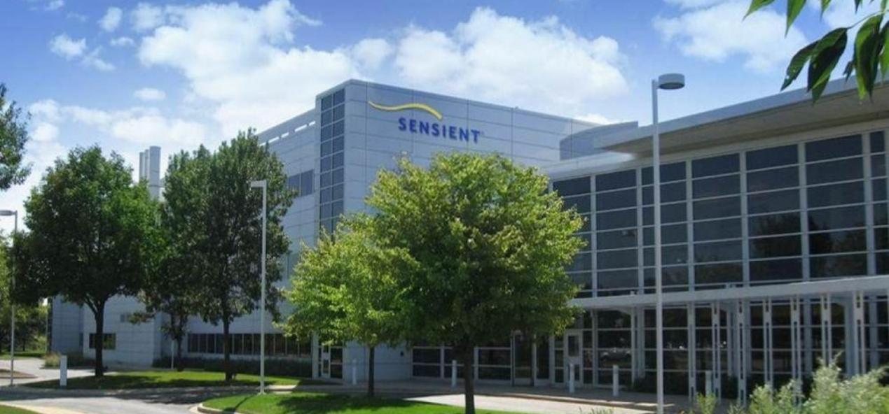 Top 10 Dehydrated Garlic Manufacturers for Bulk Sourcing Worldwide