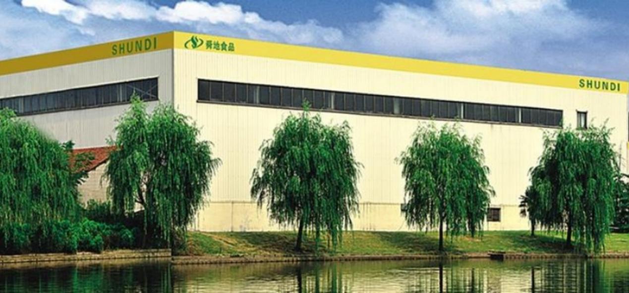 Top 10 Dehydrated Garlic Manufacturers for Bulk Sourcing Worldwide